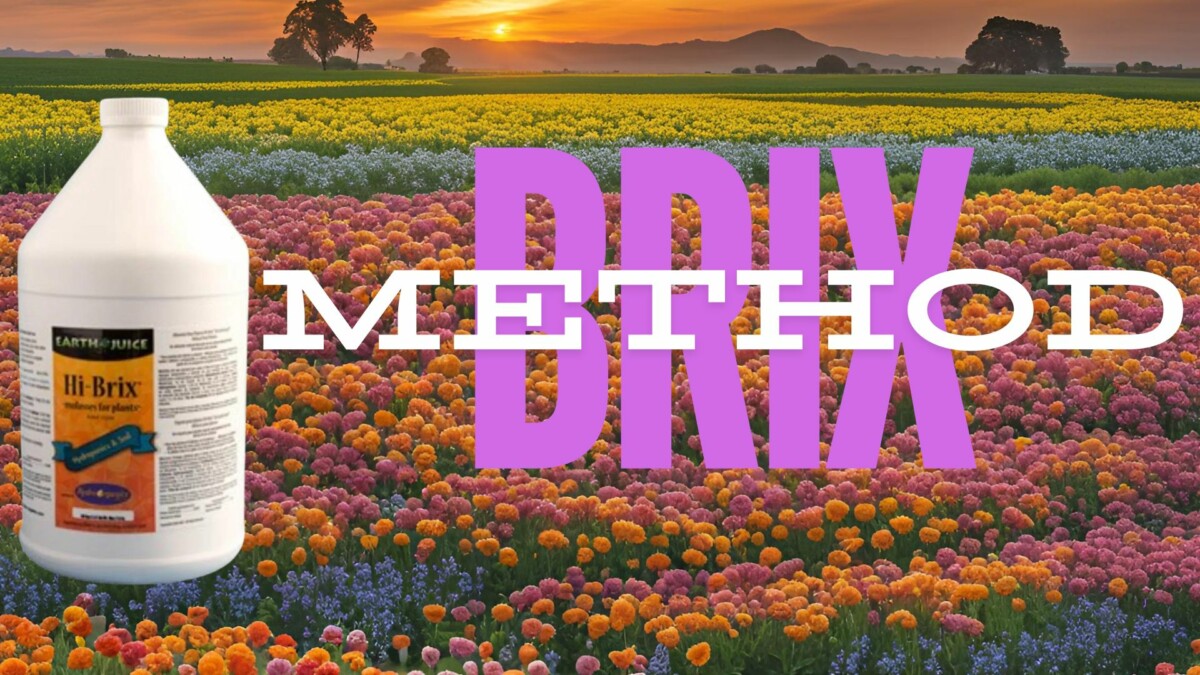 The Brix Method: A Sustainable Approach to Pest Control - Adventures in ...