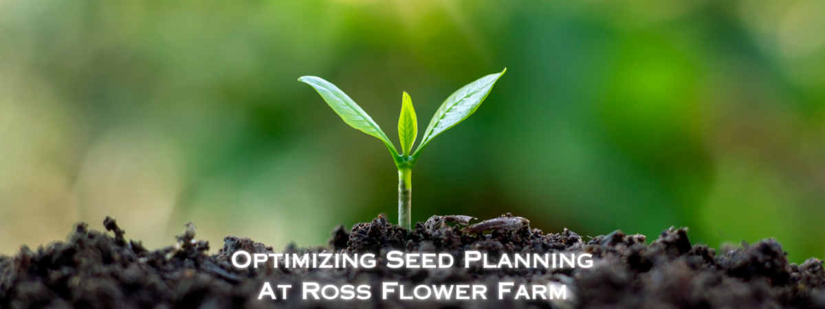 Optimizing Seed Planning for a Flourishing 2025 Flower Season ...